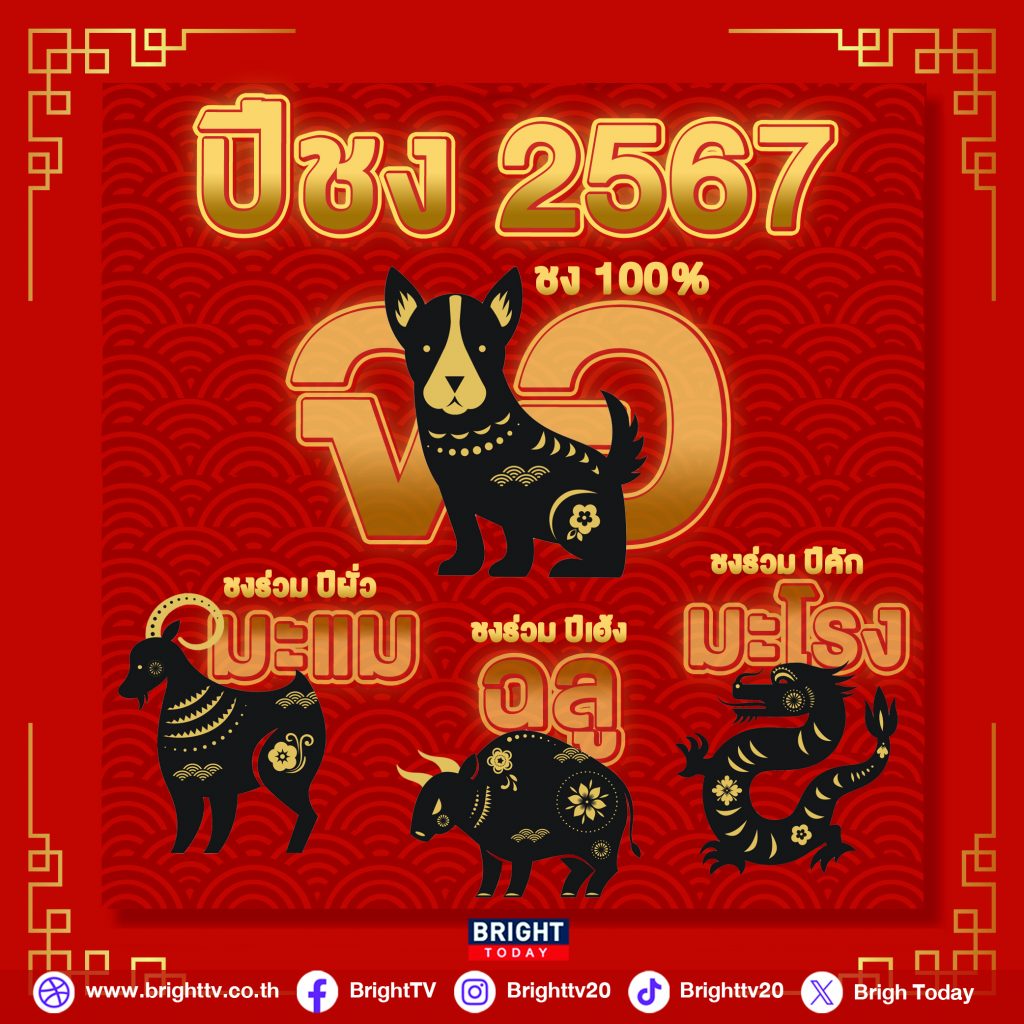 ปะทะอย่างแรง! ปีชง 2567 ปีจอ ชง100% ชี้ดวงชะตาพร้อมเลขมงคล
